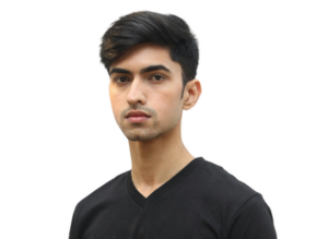 Hire a Skilled Software Developer - Wing Assistant